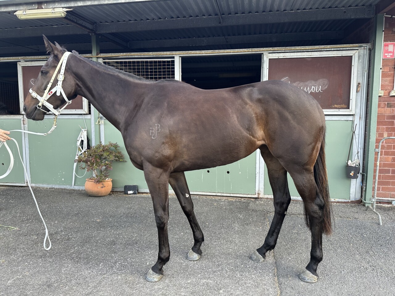 Sharing Moments - Scott Cameron Racing